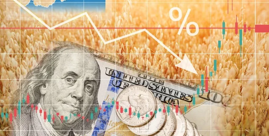 Understanding Gold Spot Price Calculations - Tavex Bullion