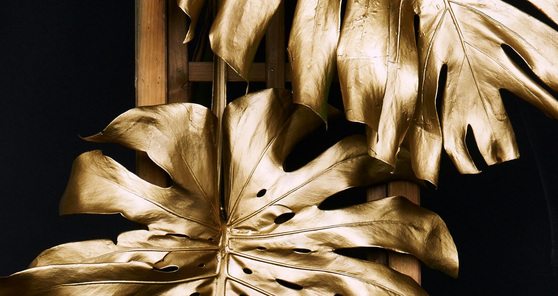 Can Plants Really Grow Gold? (Phytomining) - Tavex Bullion