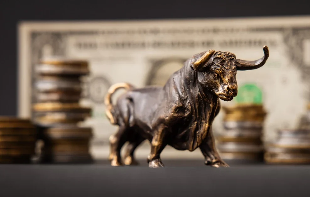 What is a Bull Market: Meaning and Examples - Tavex United Kingdom