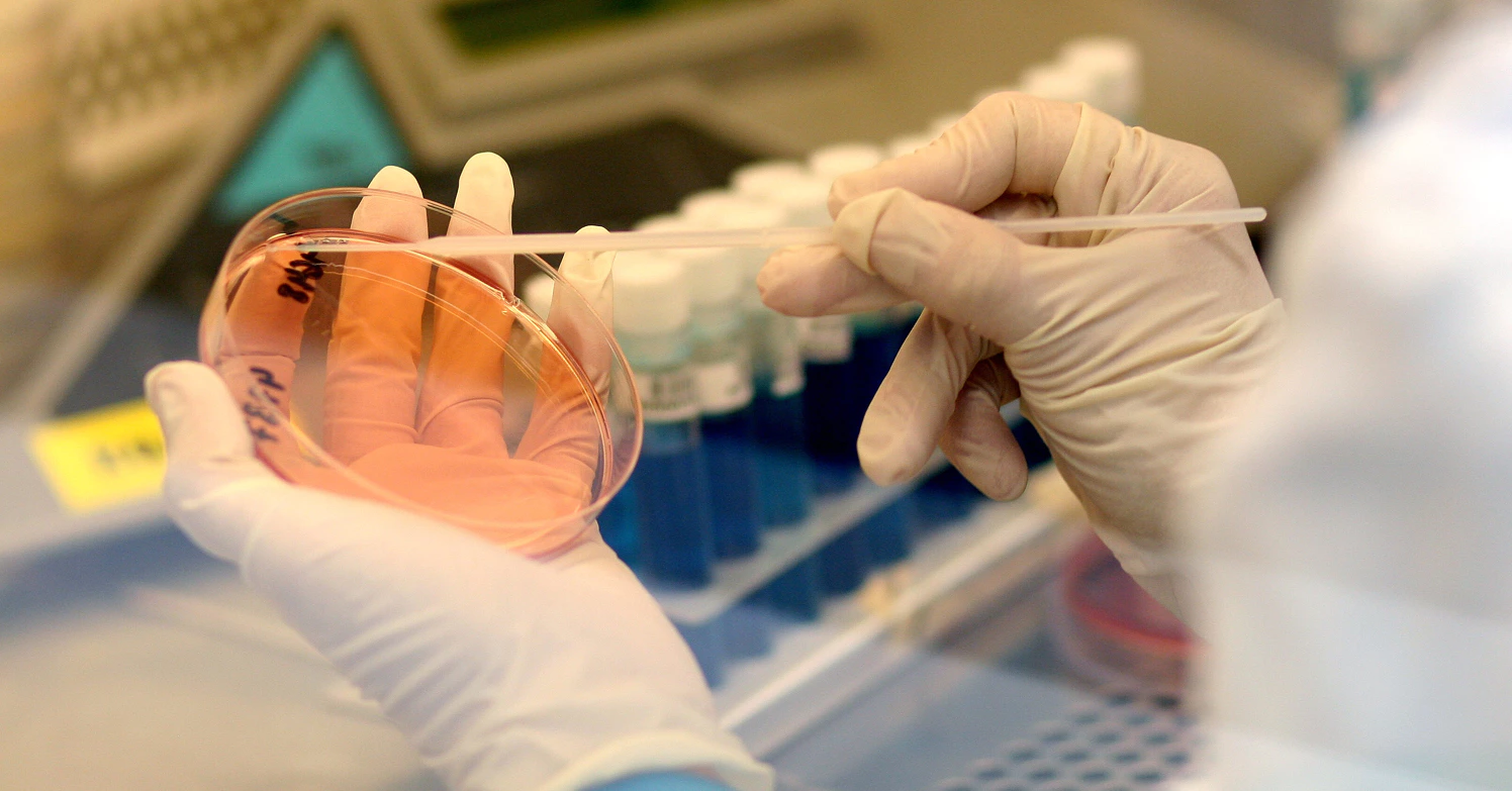 Lab-Made Gold Exists, But It Won’t Shake the Market - Tavex United Kingdom